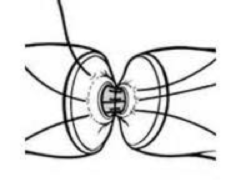 Vaso-vasostomía | Urólogo Salamanca · Urología · Fisioterapia ...